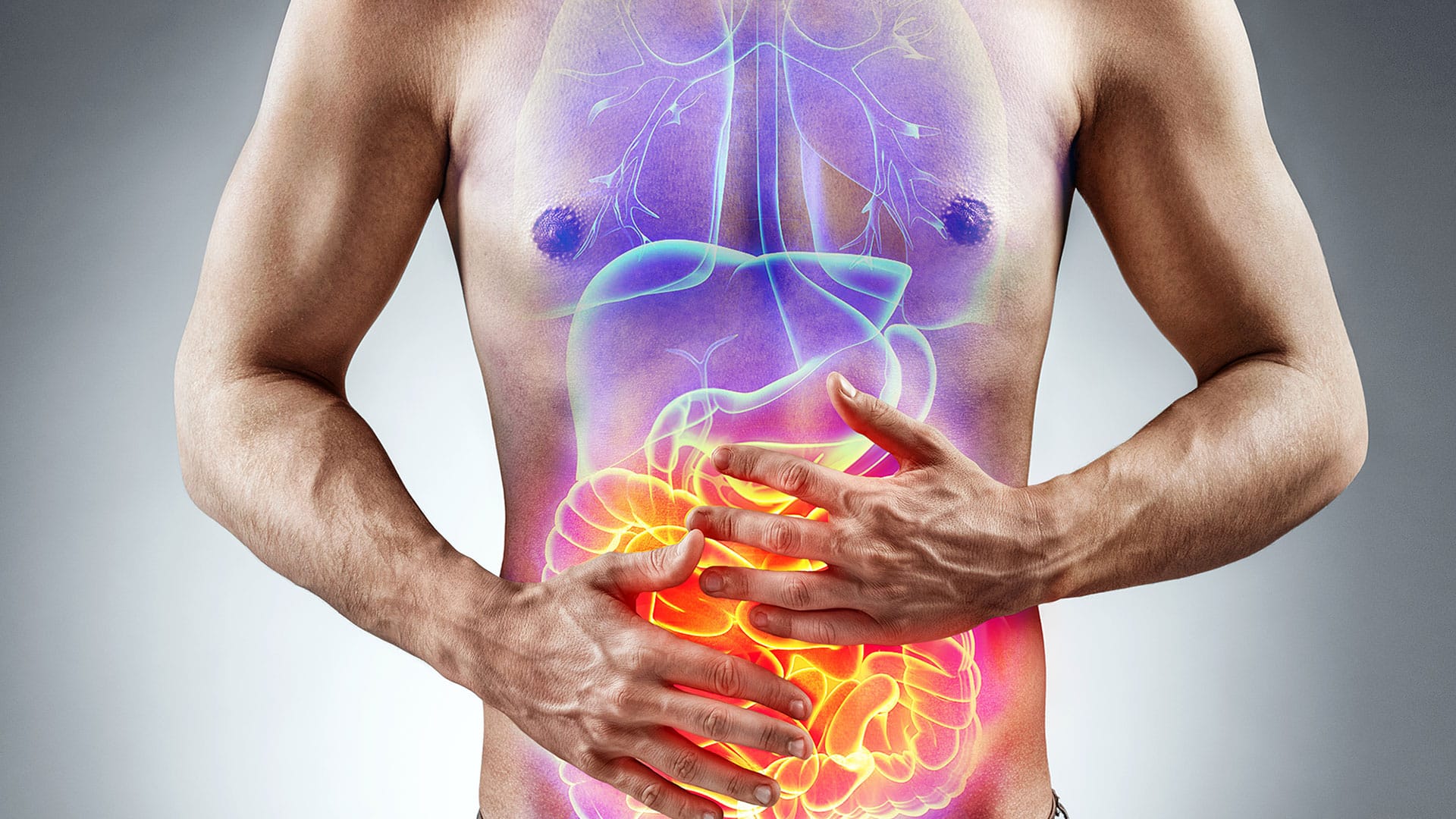 Enfermedades Gastrointestinales Asociación Puertorriqueña De
